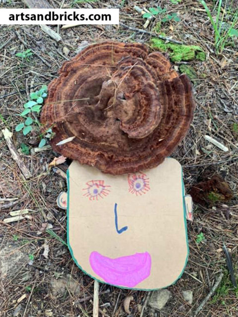 Cardboard Faces with Nature Hair - Arts and Bricks
