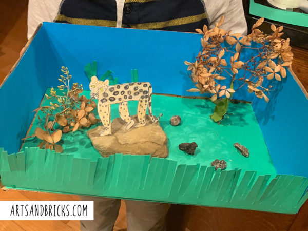 Elementary-School Science Dioramas - Arts and Bricks