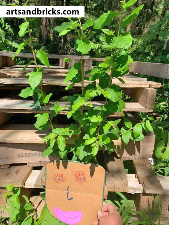 Cardboard Faces with Nature Hair - Arts and Bricks